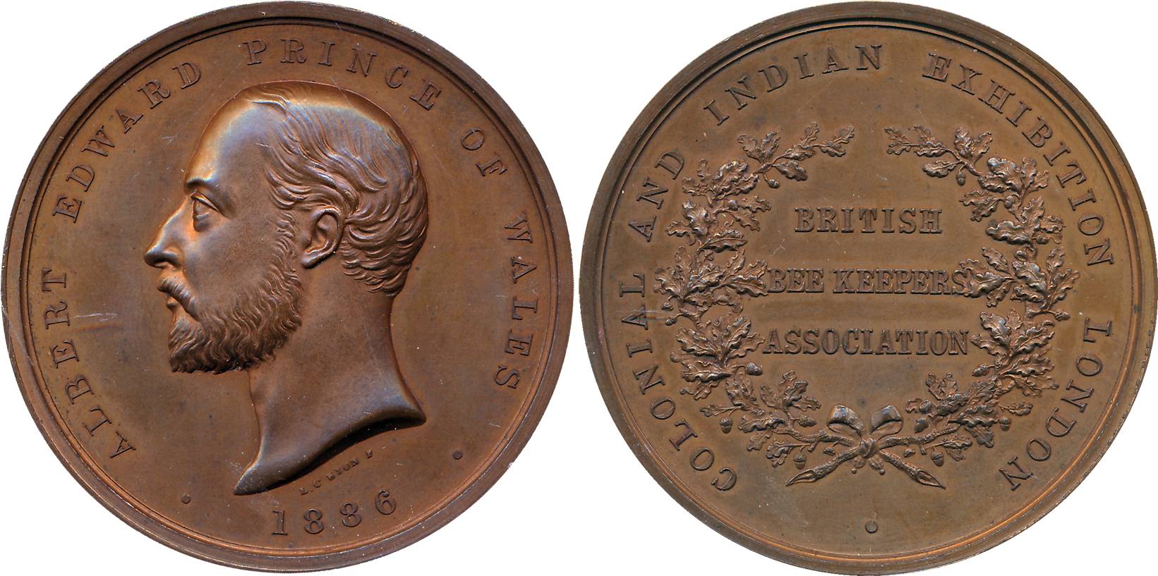 Auction Coin Details