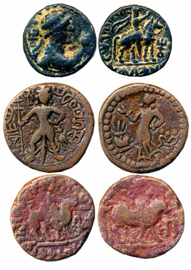 Auction Coin Details